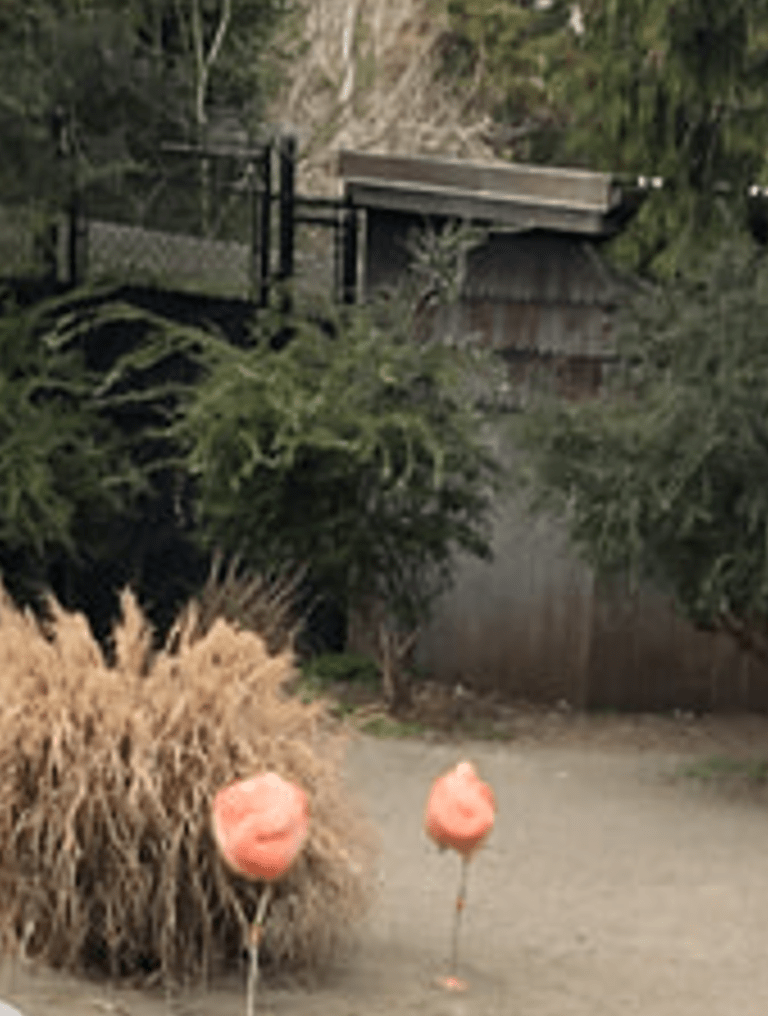 Bellingcat Challenge – Week 1 Writeup – The eDiscovery Channel